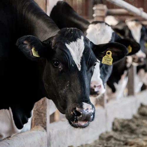 Shop - Danish Agro - Foder, Udstyr & Maskiner til landbruget | Danish ...