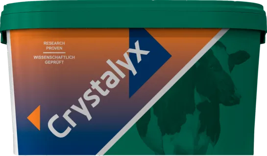 Crystalyx Cattle High Mag | Slikbalje til kvæg på græs | Danish Agro